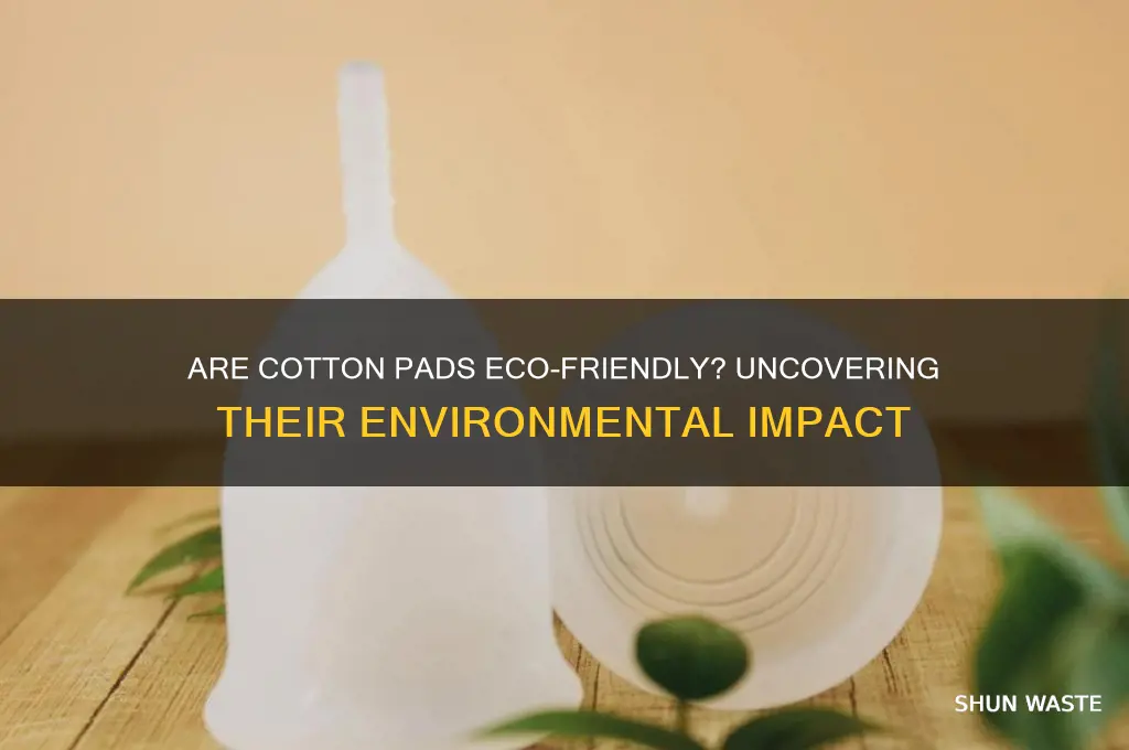 Are Cotton Pads Eco-Friendly? Uncovering Their Environmental Impact ...