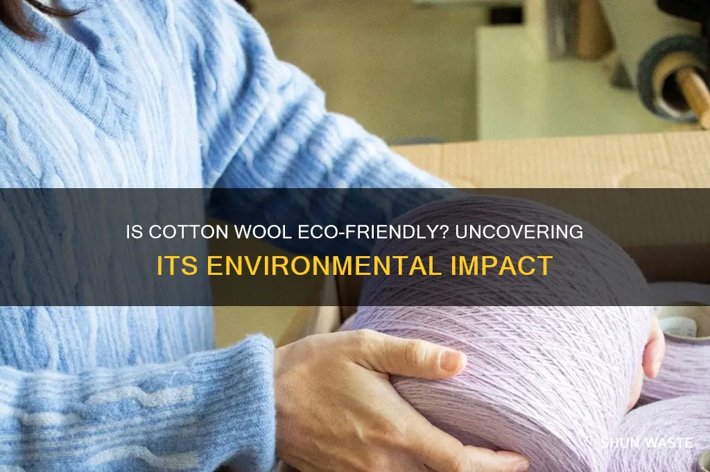 Is Cotton Wool Eco-Friendly? Uncovering Its Environmental Impact ...