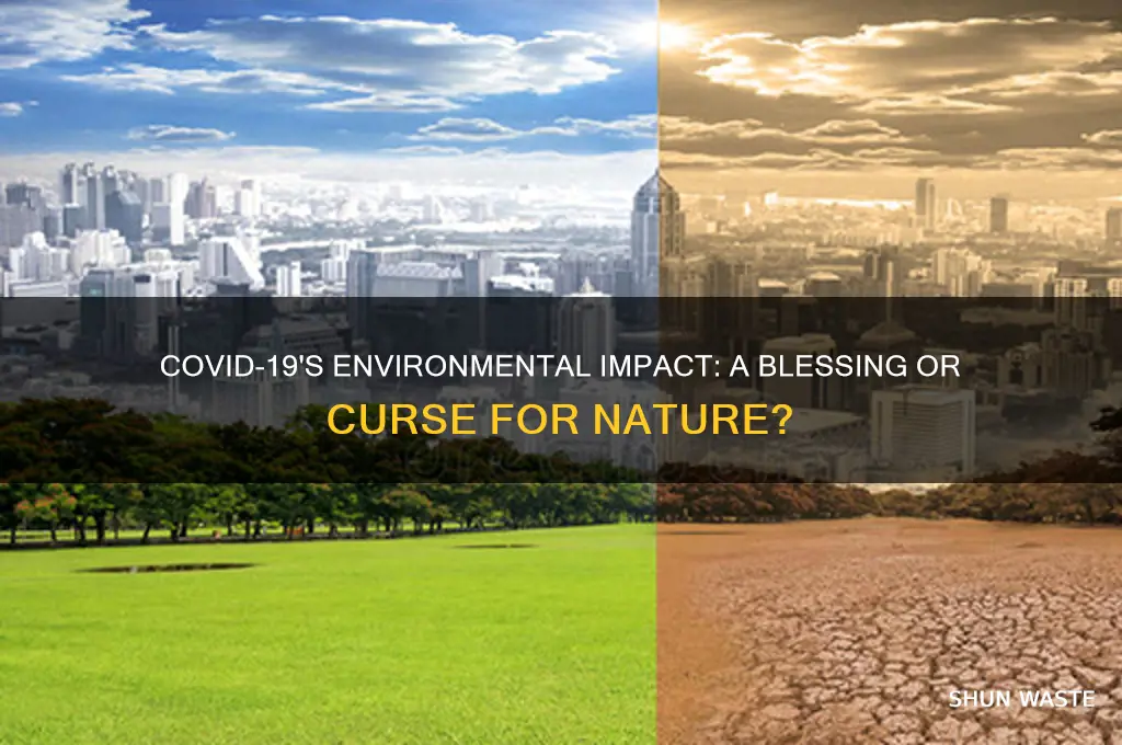 Covid-19'S Environmental Impact: A Blessing Or Curse For Nature ...