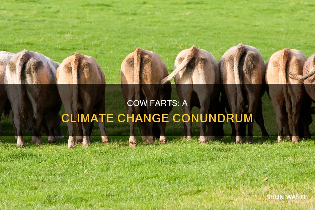 Cow Farts: A Climate Change Conundrum | ShunWaste