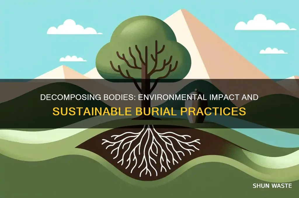 Decomposing Bodies: Environmental Impact And Sustainable Burial ...