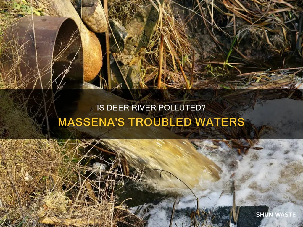 Is Deer River Polluted? Massena's Troubled Waters | ShunWaste