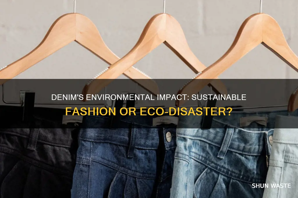 Denim's Environmental Impact: Sustainable Fashion Or Eco-Disaster ...