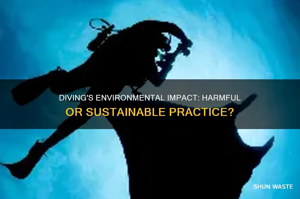 Diving's Environmental Impact: Harmful Or Sustainable Practice? | ShunWaste