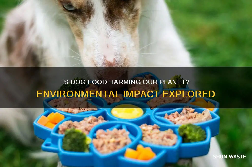 Is Dog Food Harming Our Planet? Environmental Impact Explored | ShunWaste