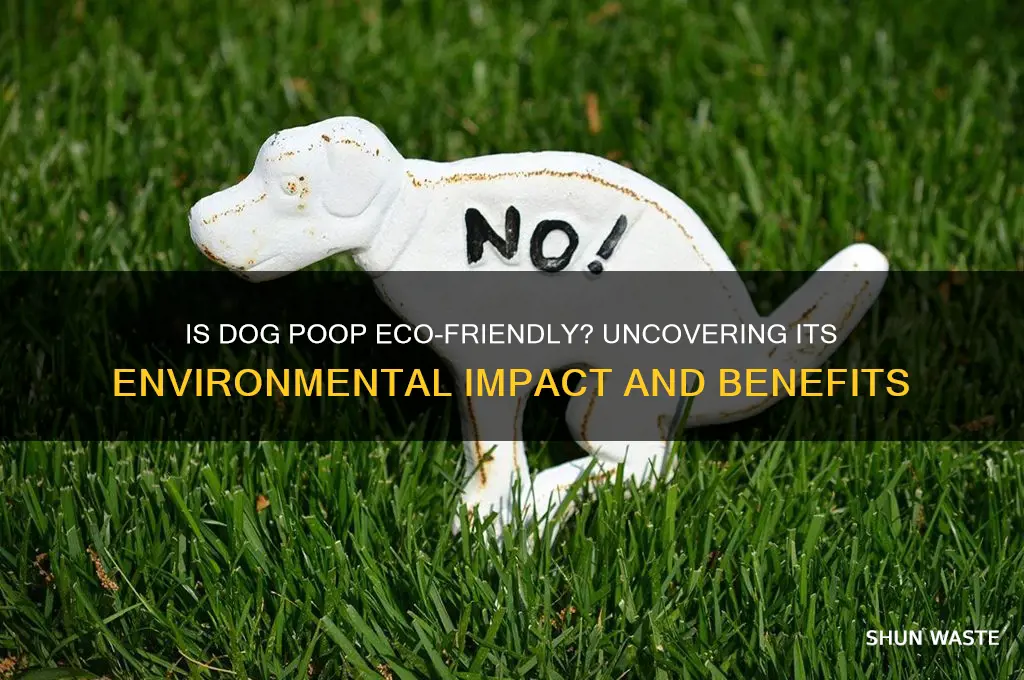 Is Dog Poop Eco-Friendly? Uncovering Its Environmental Impact And ...