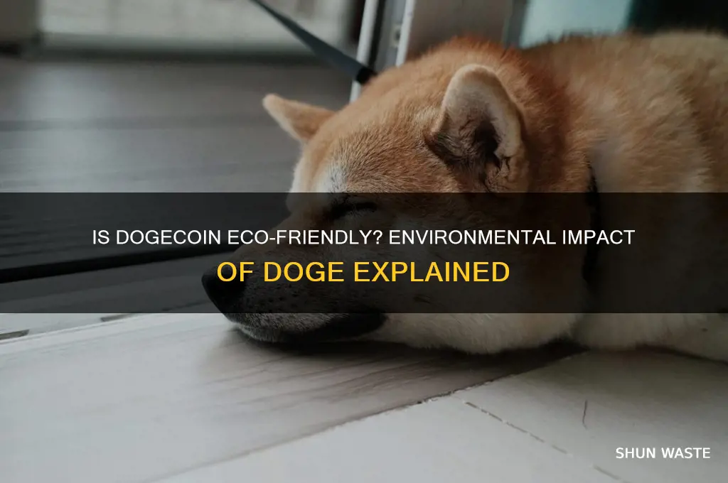 Is Dogecoin Eco-Friendly? Environmental Impact Of Doge Explained ...