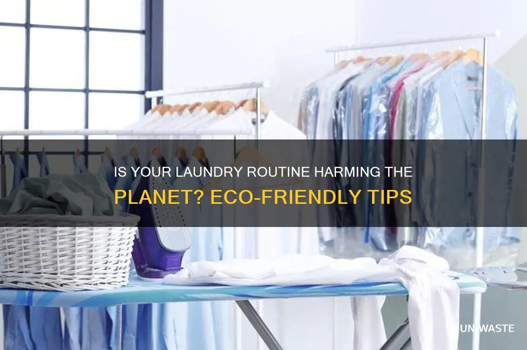 Is Your Laundry Routine Harming The Planet? Eco-Friendly Tips | ShunWaste