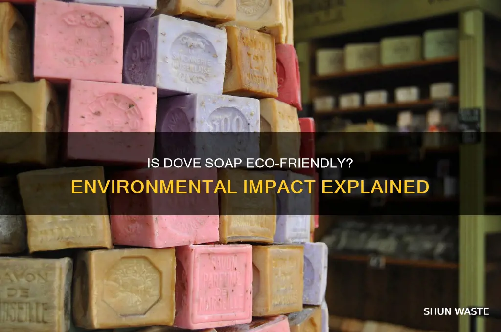 Is Dove Soap Eco-Friendly? Environmental Impact Explained | ShunWaste