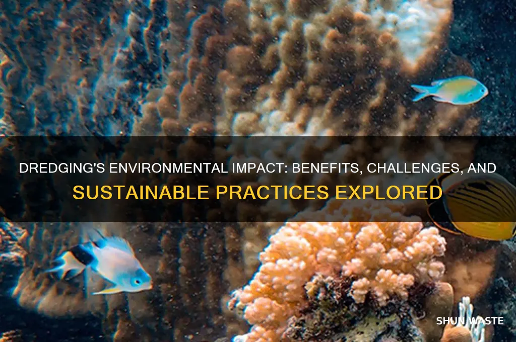 Dredging's Environmental Impact: Benefits, Challenges, And Sustainable ...