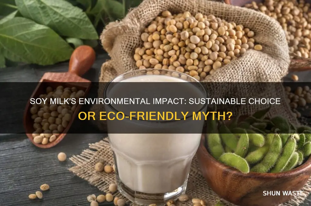 Soy Milk's Environmental Impact: Sustainable Choice Or Eco-Friendly ...