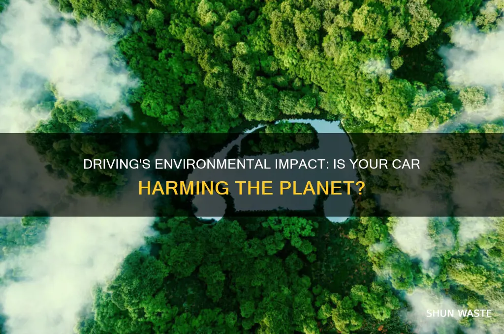Driving's Environmental Impact: Is Your Car Harming The Planet? | ShunWaste