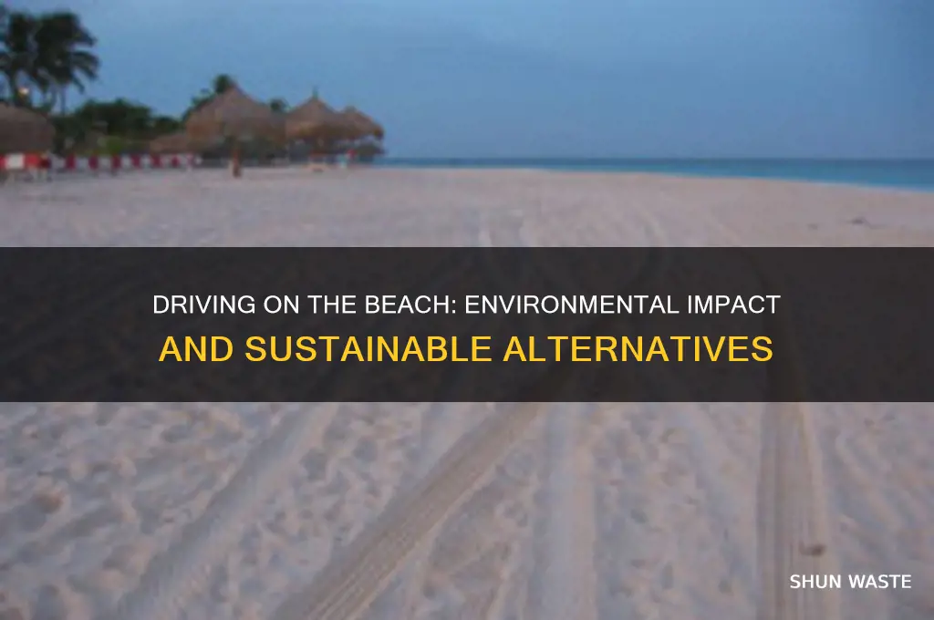 Driving On The Beach: Environmental Impact And Sustainable Alternatives ...
