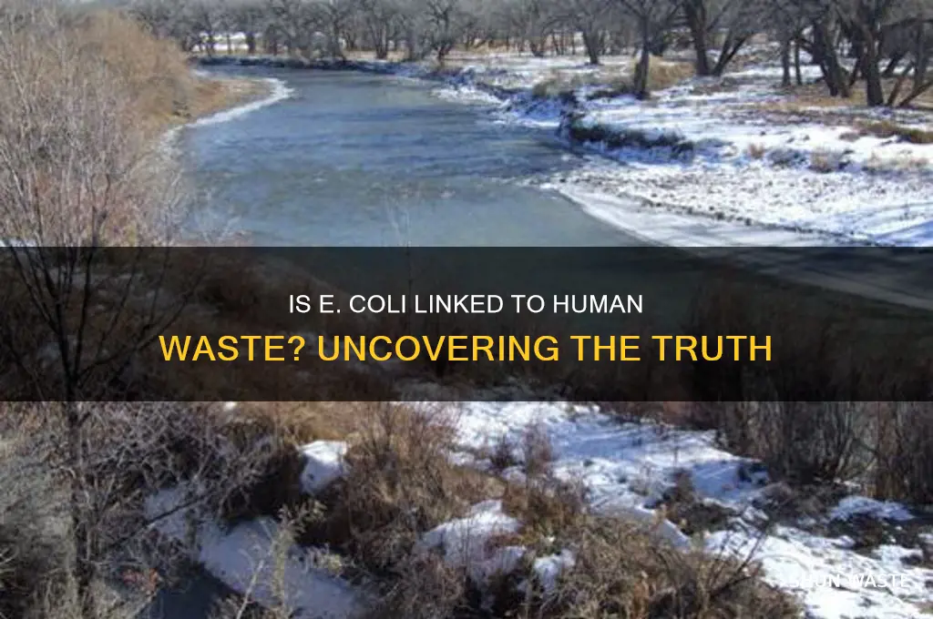 Is E. Coli Linked To Human Waste? Uncovering The Truth | ShunWaste