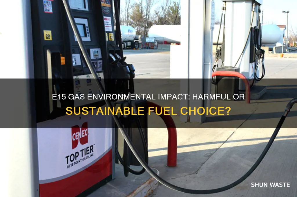 E15 Gas Environmental Impact: Harmful Or Sustainable Fuel Choice ...