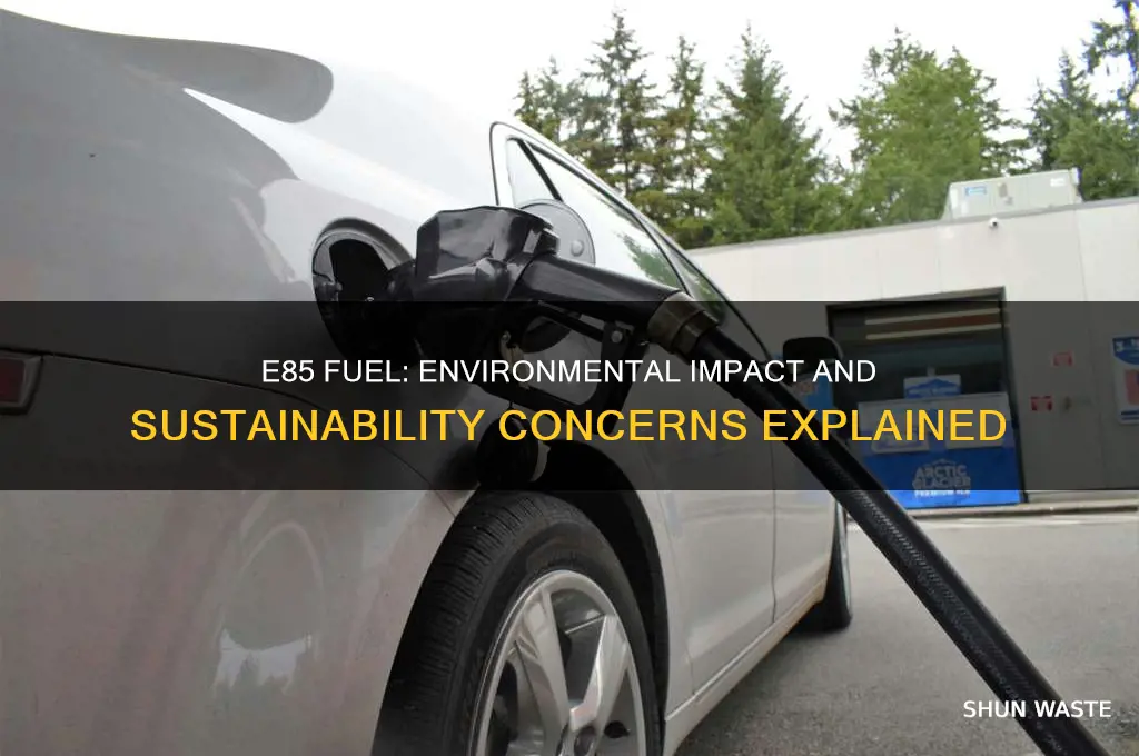 E85 Fuel: Environmental Impact And Sustainability Concerns Explained ...