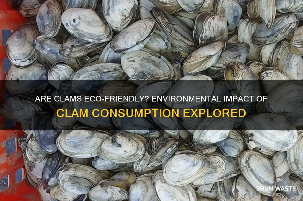 Are Clams Eco-Friendly? Environmental Impact Of Clam Consumption ...