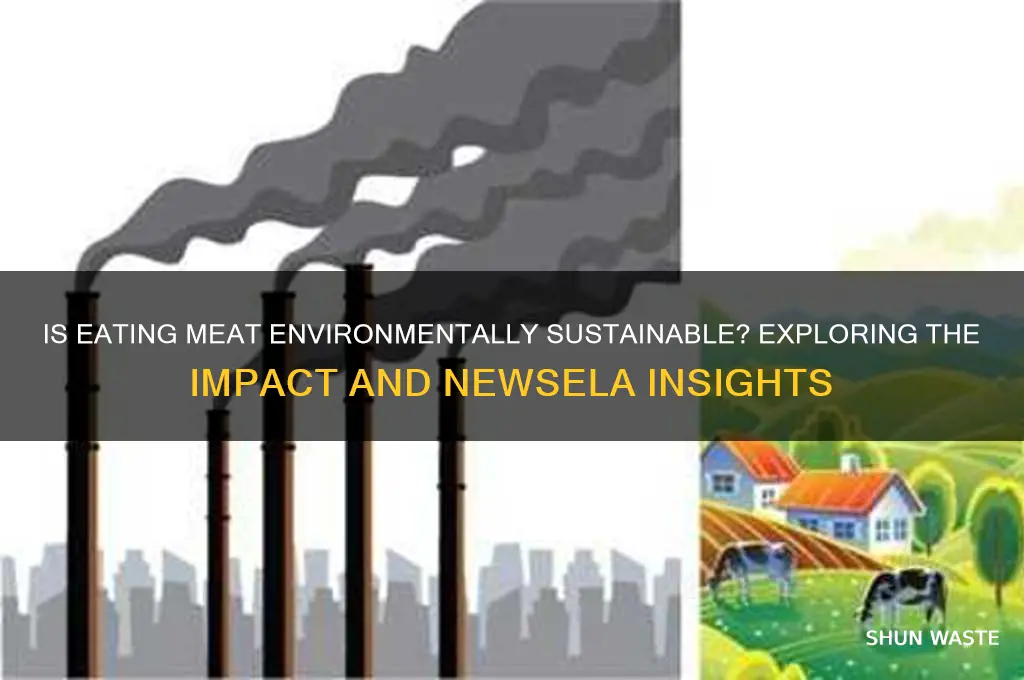 Is Eating Meat Environmentally Sustainable? Exploring The Impact And ...