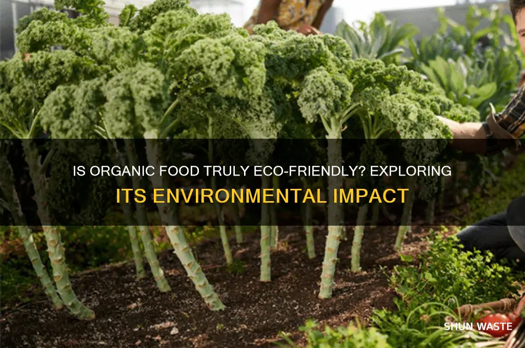 Is Organic Food Truly Eco-Friendly? Exploring Its Environmental Impact ...