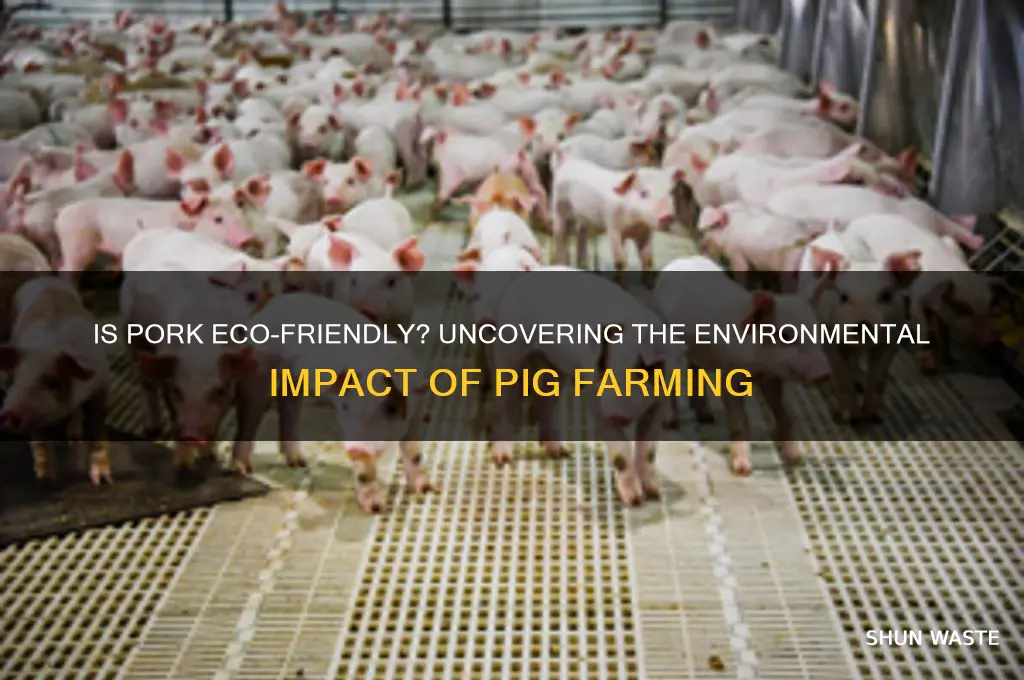 Is Pork Eco-Friendly? Uncovering The Environmental Impact Of Pig ...
