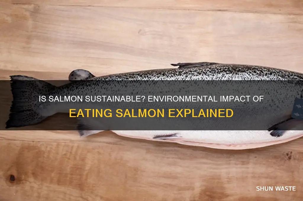 Is Salmon Sustainable? Environmental Impact Of Eating Salmon Explained ...