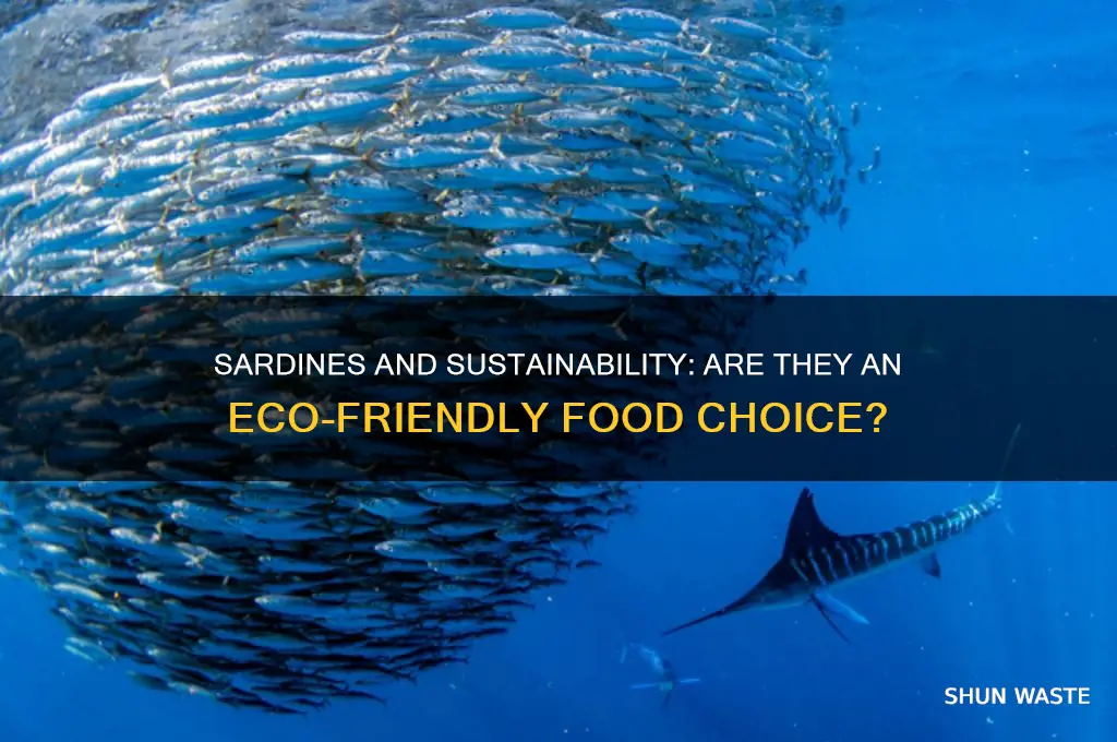 Sardines And Sustainability: Are They An Eco-Friendly Food Choice ...