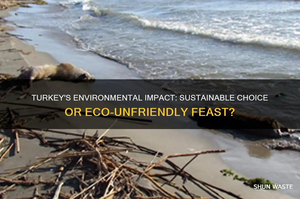 Turkey's Environmental Impact: Sustainable Choice Or Eco-Unfriendly ...