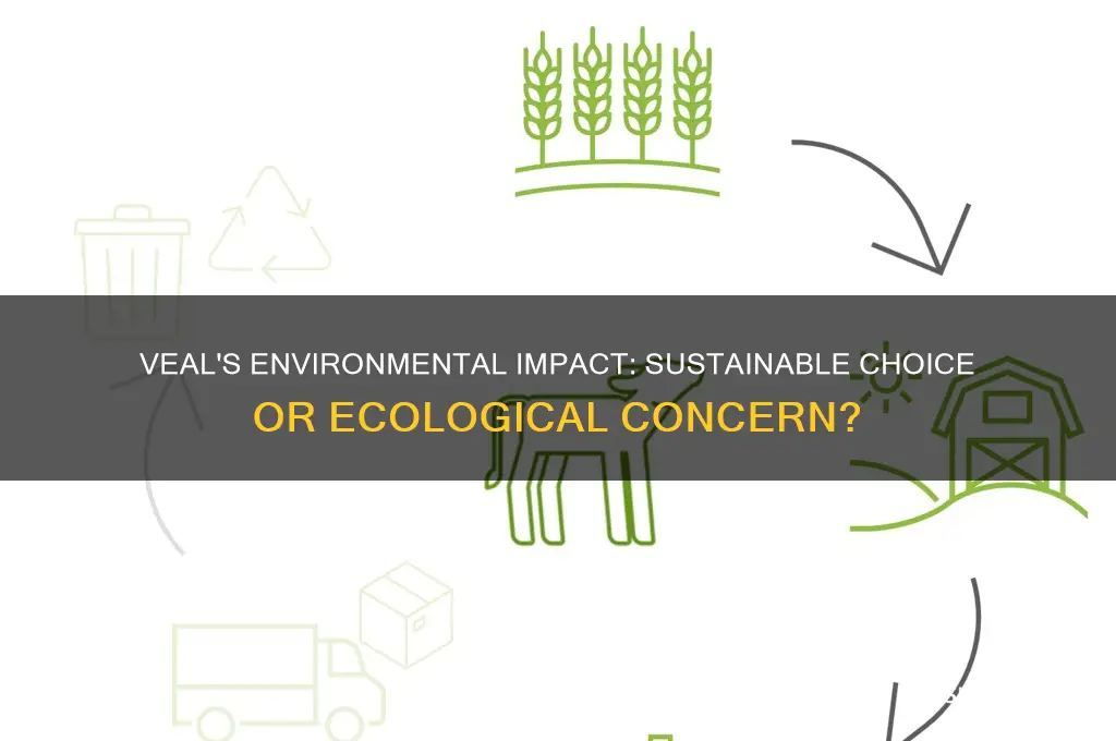 Veal's Environmental Impact: Sustainable Choice Or Ecological Concern ...