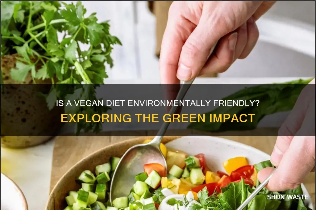 Is A Vegan Diet Environmentally Friendly? Exploring The Green Impact ...