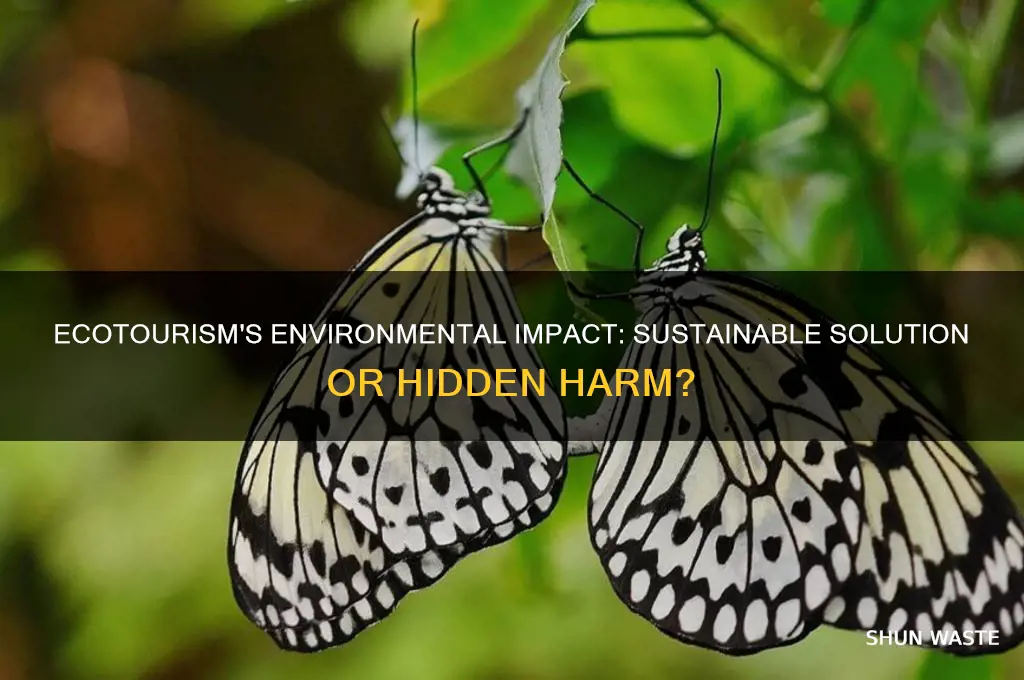 Ecotourism's Environmental Impact: Sustainable Solution Or Hidden Harm ...