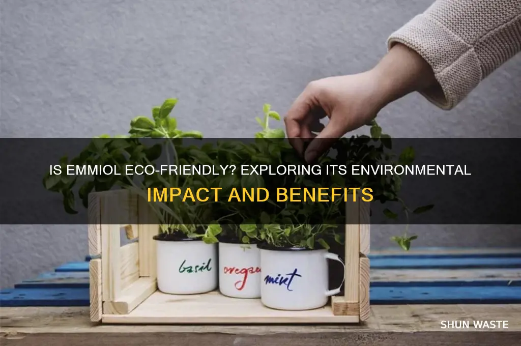 Is Emmiol Eco-Friendly? Exploring Its Environmental Impact And Benefits ...