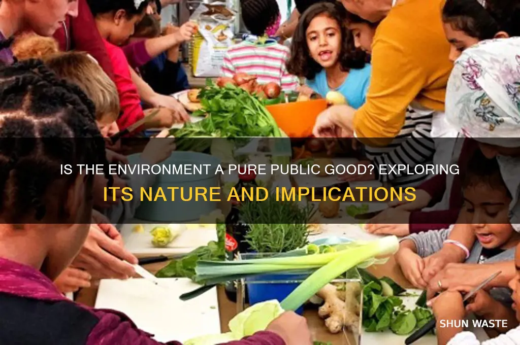 Is The Environment A Pure Public Good? Exploring Its Nature And ...