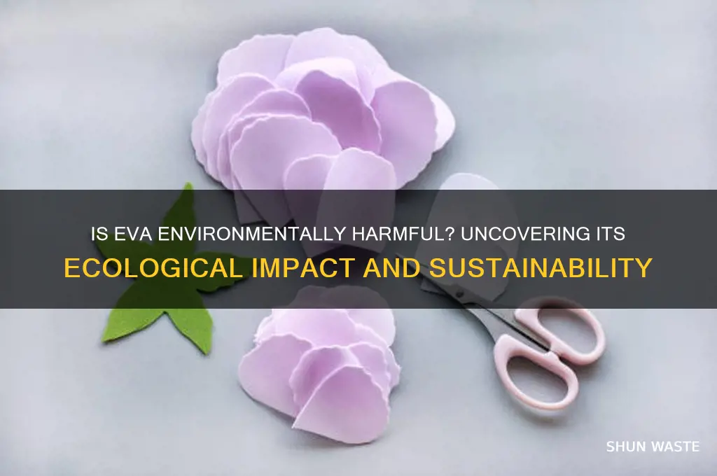 Is Eva Environmentally Harmful? Uncovering Its Ecological Impact And ...