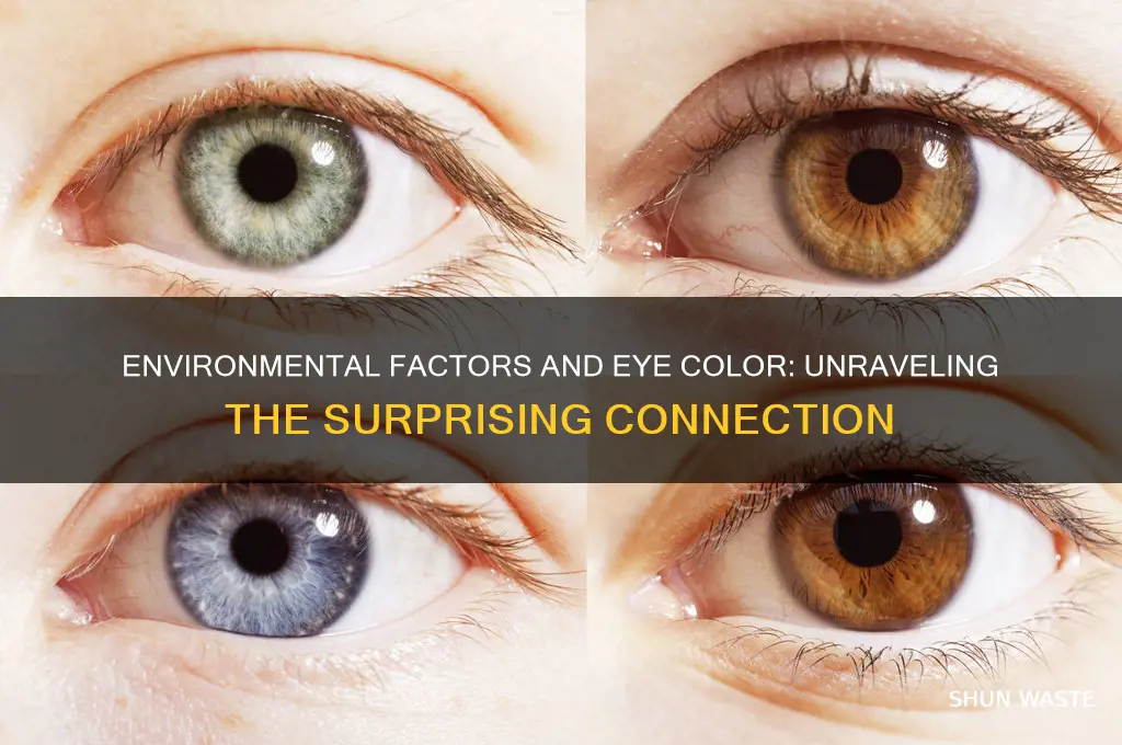Environmental Factors And Eye Color: Unraveling The Surprising ...