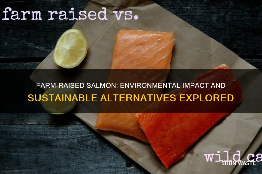Farm-Raised Salmon: Environmental Impact And Sustainable Alternatives ...