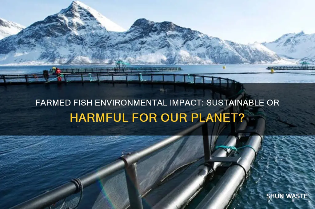 Farmed Fish Environmental Impact: Sustainable Or Harmful For Our Planet ...