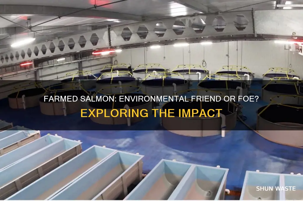 Farmed Salmon: Environmental Friend Or Foe? Exploring The Impact ...