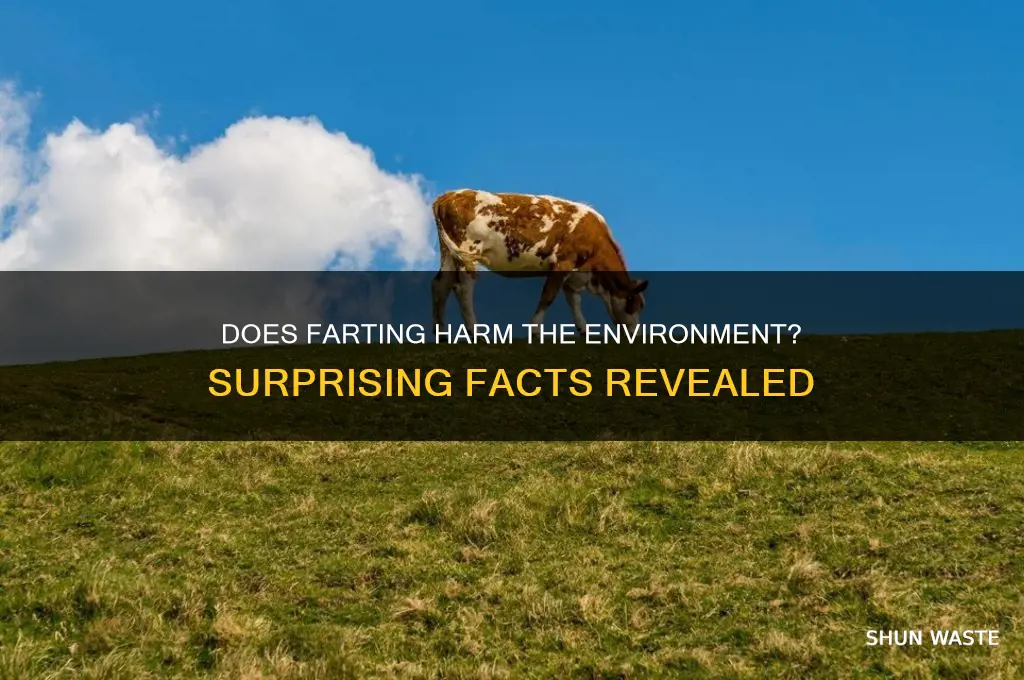 Does Farting Harm The Environment? Surprising Facts Revealed | ShunWaste
