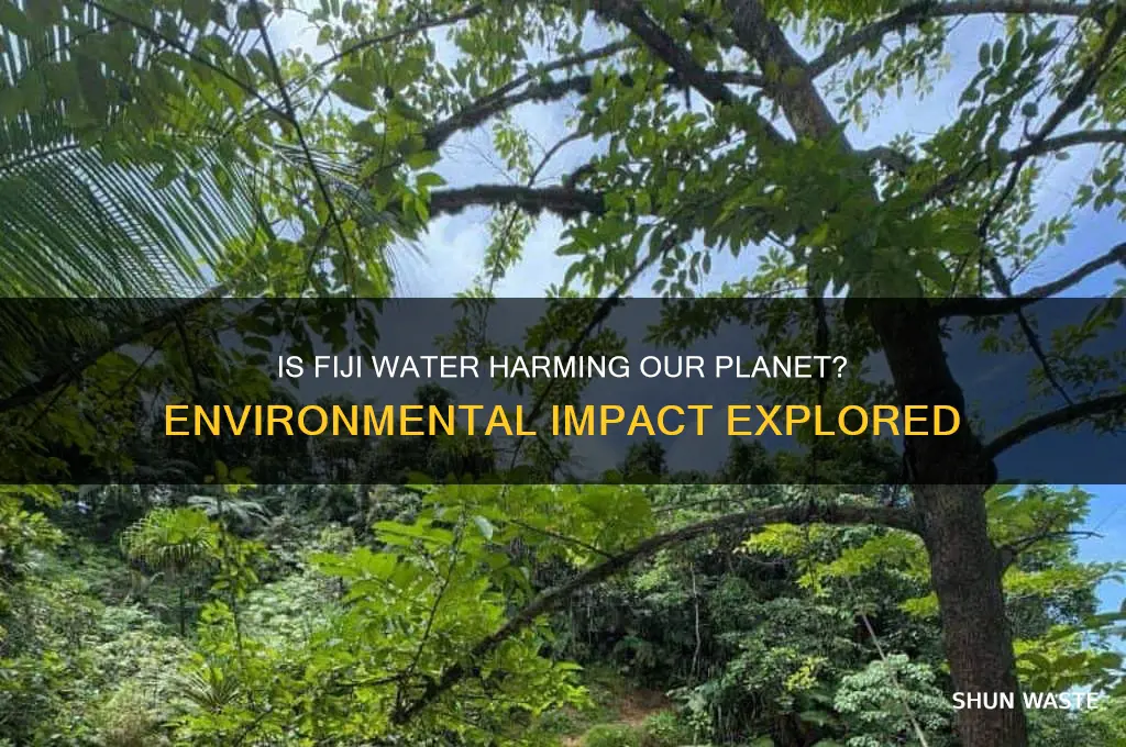 Is Fiji Water Harming Our Planet? Environmental Impact Explored | ShunWaste