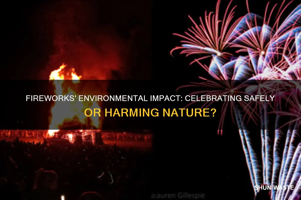 Fireworks' Environmental Impact: Celebrating Safely Or Harming Nature ...