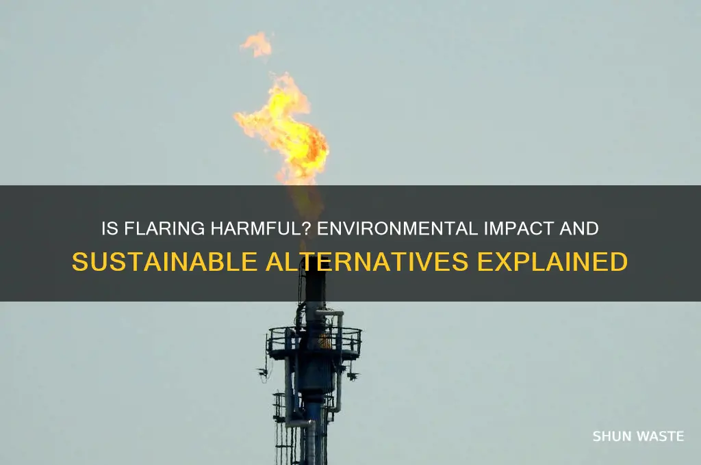 Is Flaring Harmful? Environmental Impact And Sustainable Alternatives ...