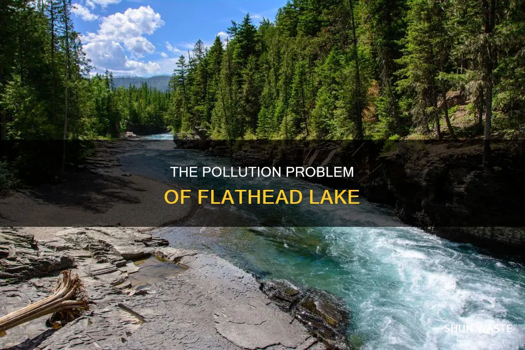 The Pollution Problem Of Flathead Lake | ShunWaste