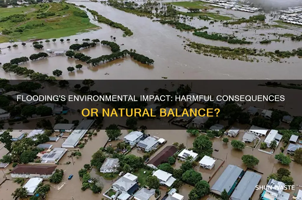 Flooding's Environmental Impact: Harmful Consequences Or Natural ...