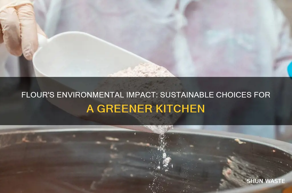 Flour's Environmental Impact: Sustainable Choices For A Greener Kitchen ...