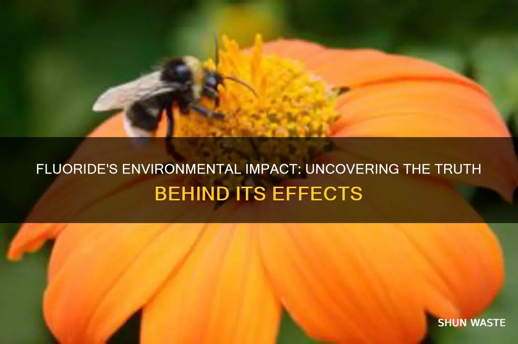Fluoride's Environmental Impact: Uncovering The Truth Behind Its ...