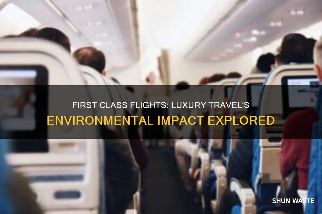 First Class Flights: Luxury Travel's Environmental Impact Explored ...
