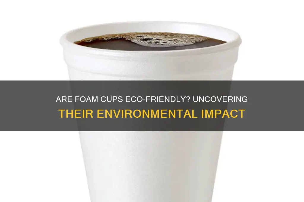 Are Foam Cups Eco-Friendly? Uncovering Their Environmental Impact ...