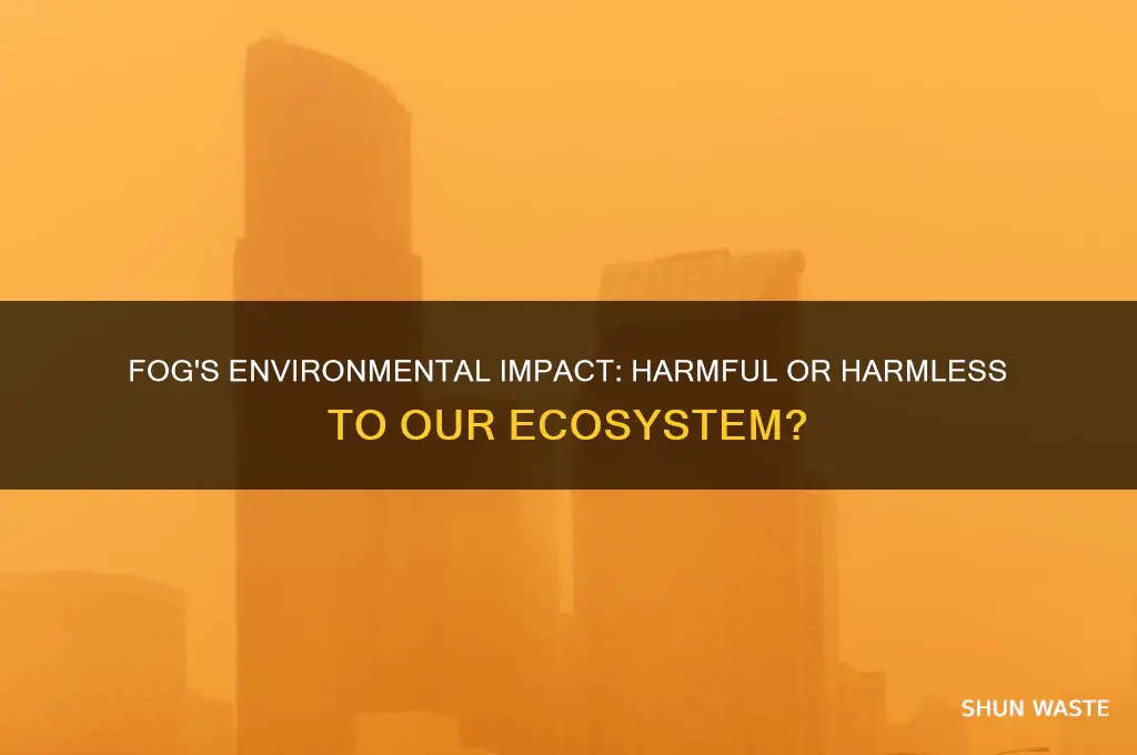 Fog's Environmental Impact: Harmful Or Harmless To Our Ecosystem ...