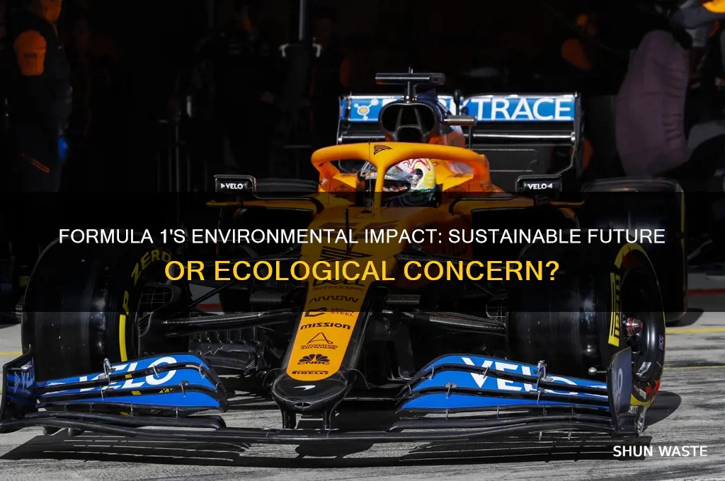 Formula 1'S Environmental Impact: Sustainable Future Or Ecological ...