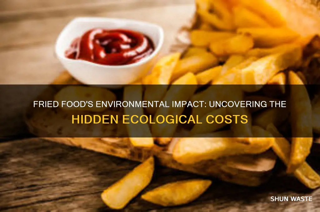 Fried Food's Environmental Impact: Uncovering The Hidden Ecological ...
